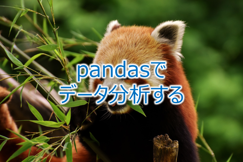 pandasでデータ分析する | Create it Myself