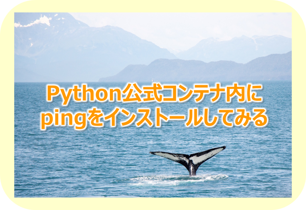 Python公式コンテナ内にpingをインストールしてみる | Create it Myself